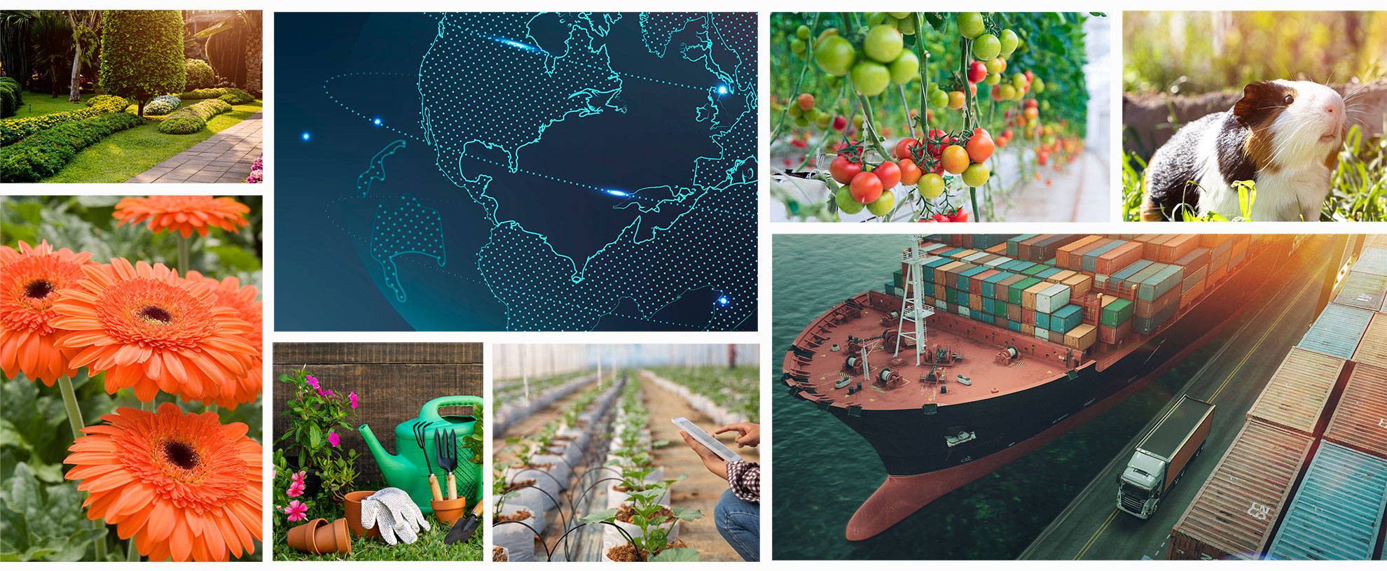 Euro Substrate – Best Coco Peat Products