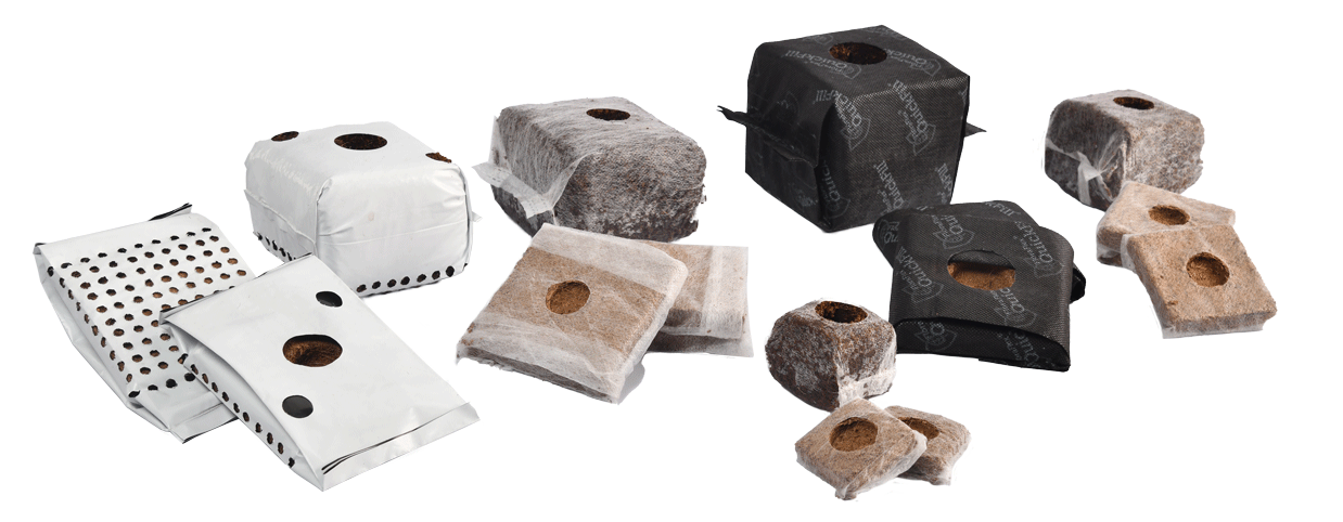 Propagation Cubes – Euro Substrate