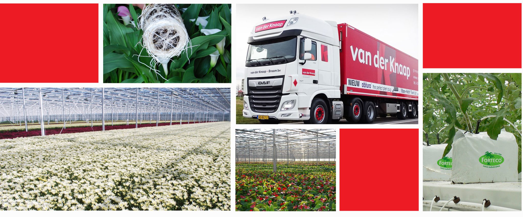 Euro Substrate – Best Coco Peat Products