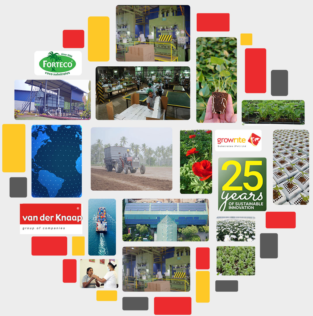 Euro Substrate – Best Coco Peat Products